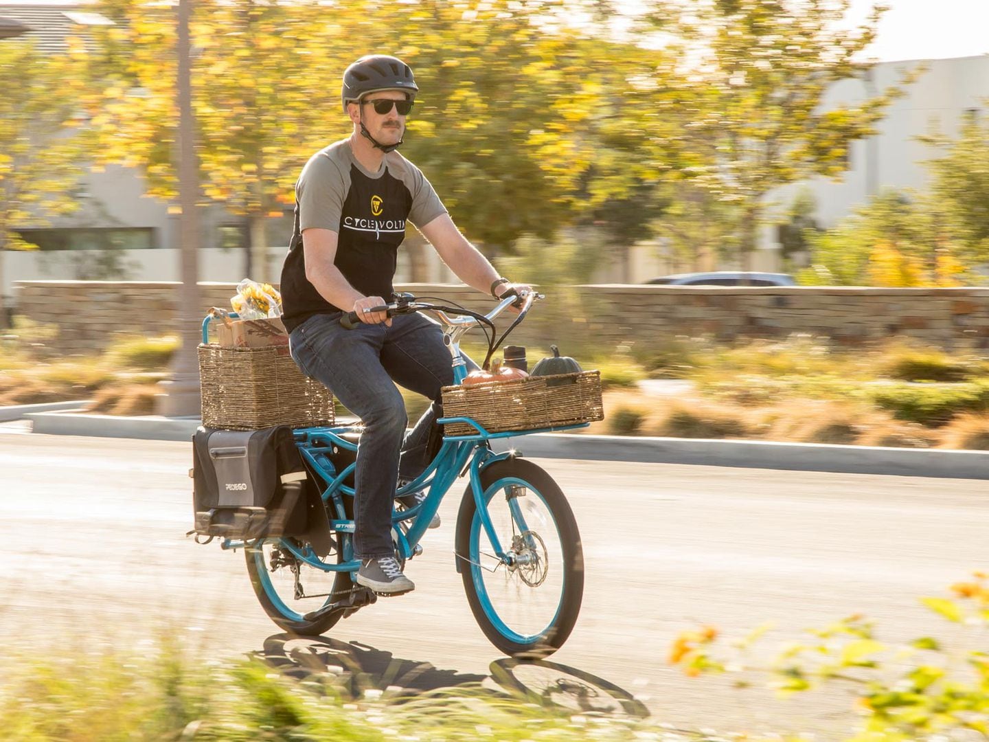 Pedego Stretch Electric Cargo Bike Review | Cycle Volta